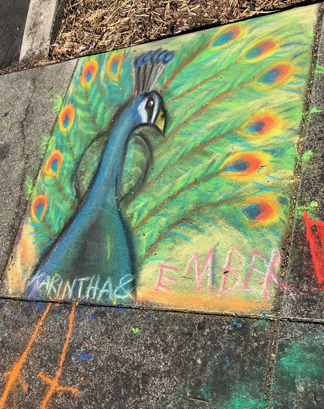 Chalk Art Contest Winners :: Chocolate & Chalk Art Festival Berkeley