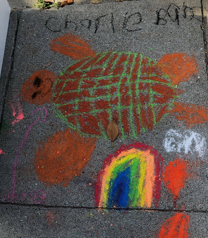 Chalk Art Contest Winners :: Chocolate & Chalk Art Festival Berkeley